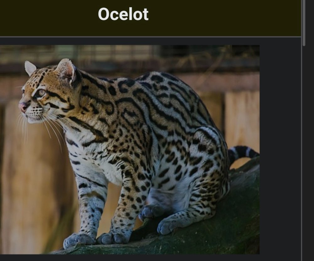 Is it time for a "Roughyeds" rebrand?? - Oldham RLFC - Total Rugby ...